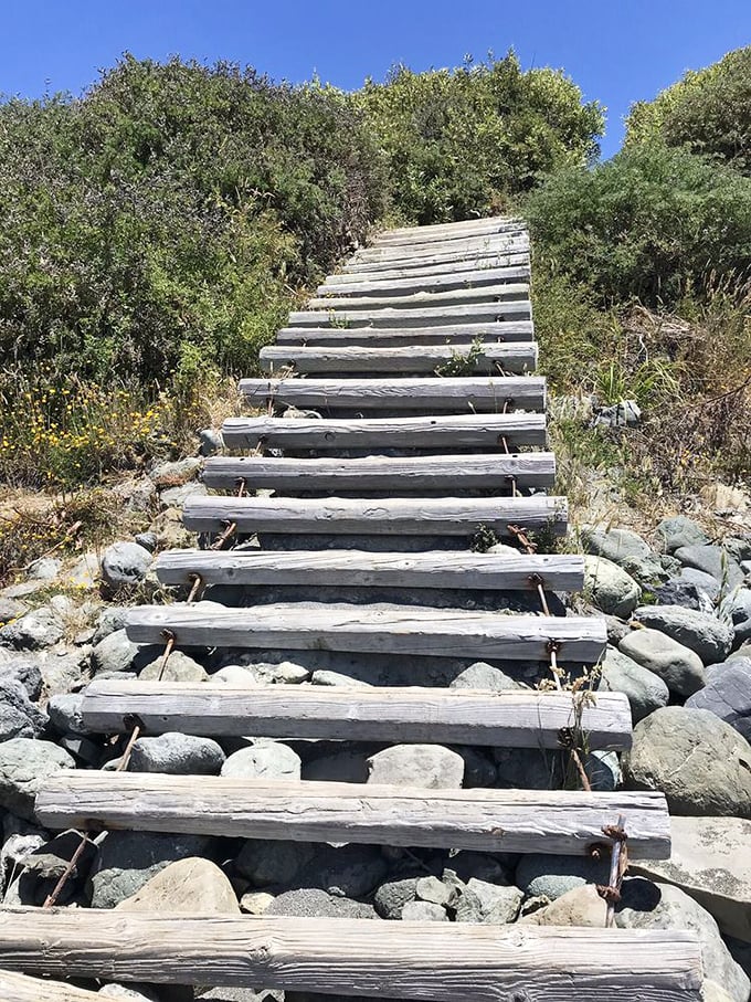 Stairway to heaven? Close enough. These rustic steps lead beachward, each weathered plank a reminder that the best paths aren't always the smoothest.