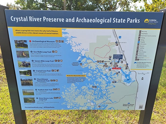Your treasure map to time travel – no "X marks the spot," just clearly marked paths to the past.