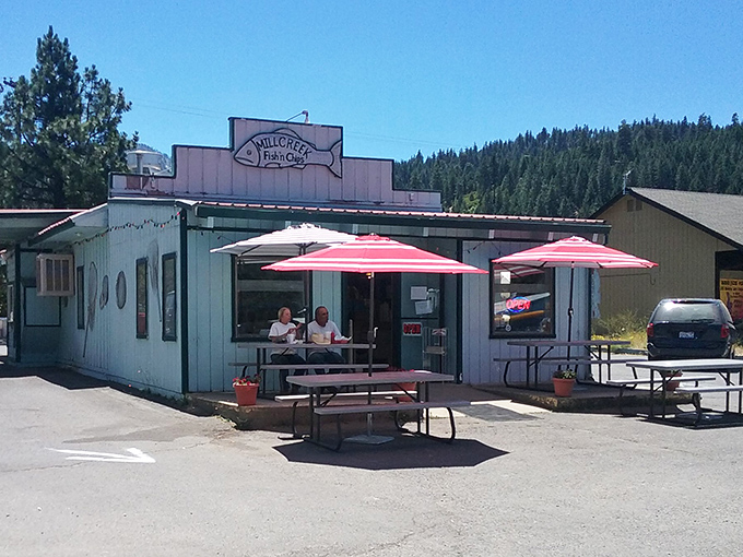 Mill Creek Fish 'N Chips proves good seafood doesn't require an ocean view—just fresh ingredients and the kind of no-nonsense preparation that lets quality shine.
