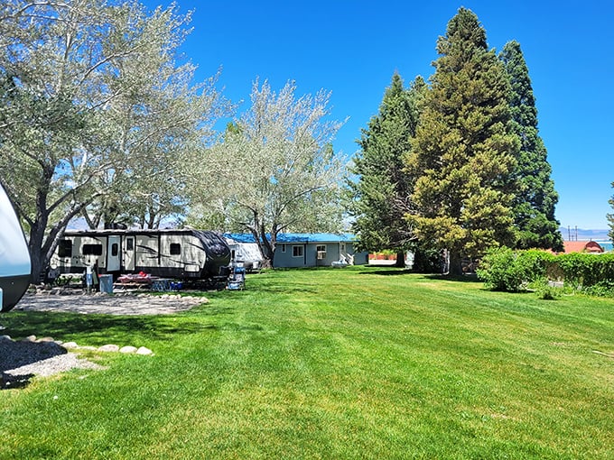 Mono Vista RV Park offers grassy spaces where "roughing it" still comes with emerald lawns and shade trees – camping with a civilized twist.