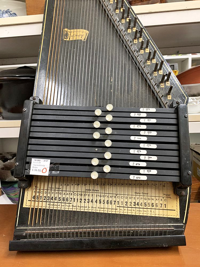 Musical instruments waiting for their comeback tour – who knows what songs these have played?