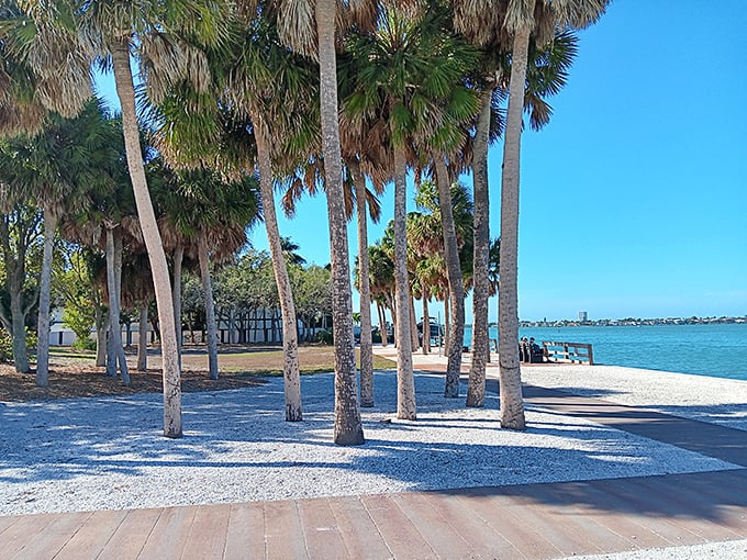 Nora Patterson Bay Island Park's palm-lined shore proves that sometimes the simplest landscapes create the most profound peace – Florida's version of meditation.