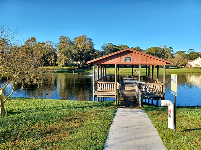 This charming lakeside dock invites contemplation, fishing, or simply watching the ripples while pondering life's big questions—or absolutely nothing at all.