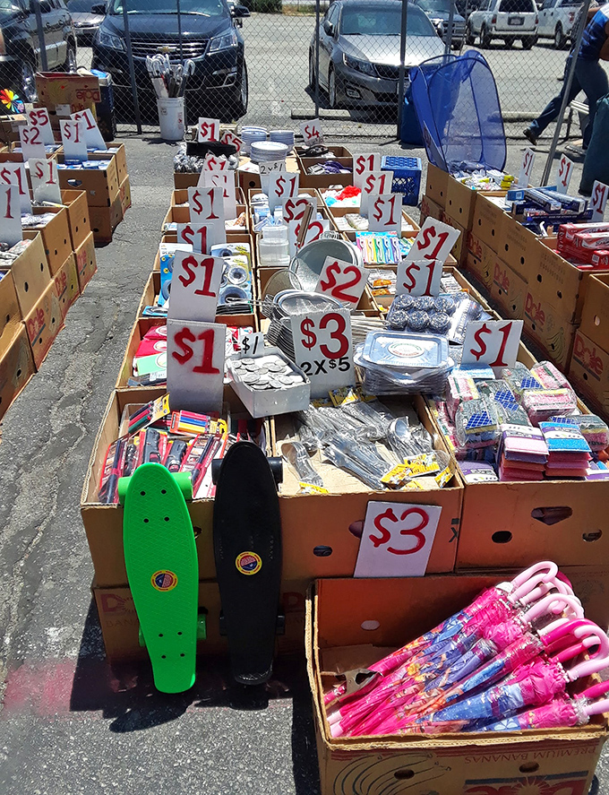 The magical dollar bins—where impulse purchases are practically mandatory. Those pink umbrellas might be the best three bucks you'll spend all week.