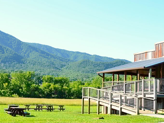 Outdoor seating with Smoky Mountain views—because sometimes the only thing that can improve great food is great scenery to match.