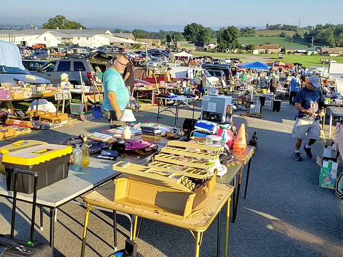 The outdoor flea market section, where one person's "Why do I still have this?" becomes another's "I've been looking for this my whole life!"