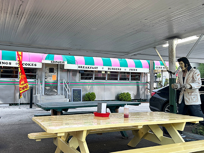 Outdoor seating where Elvis might appear for a milkshake. The picnic tables have probably heard more stories than most therapists.