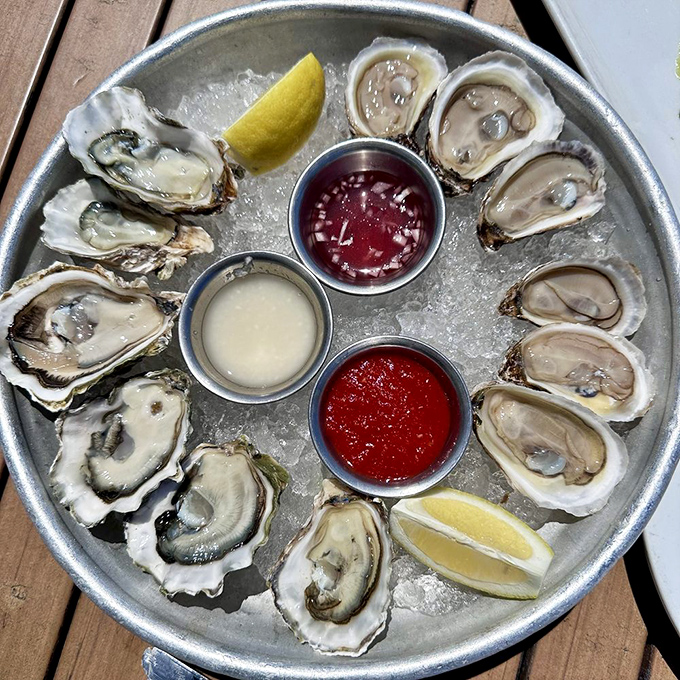 Oysters arranged like briny jewels on ice – each one a perfect little package of ocean essence.