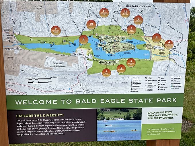 The park map reveals Bald Eagle's secrets – a treasure map where X marks every spot worth visiting, and they're all worth visiting.