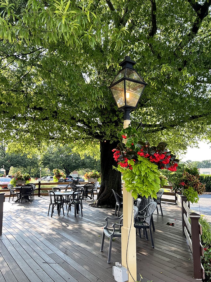 The outdoor patio—where nature provides the perfect ceiling and Lancaster County breezes serve as complimentary appetizers. Dappled sunlight included at no extra charge.