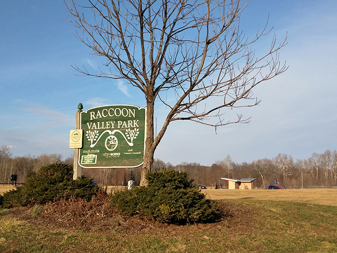 Raccoon Valley Park welcomes visitors with a promise of trails, trees, and the distinct possibility of spotting its namesake masked residents.