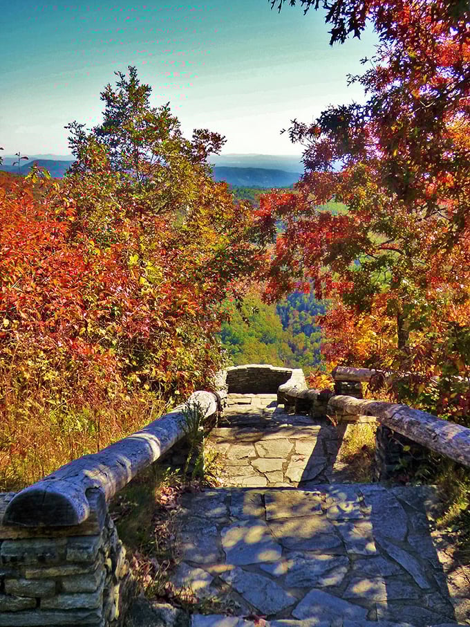 Autumn transforms this stone pathway into a golden corridor, framing the distant mountains like nature's own art gallery entrance.