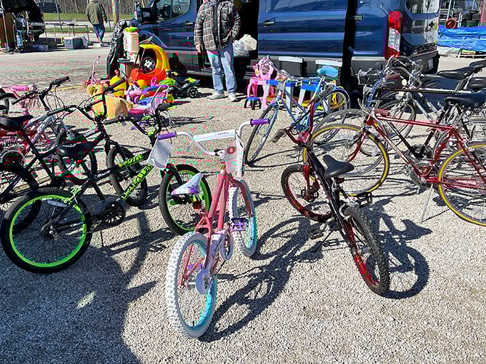Bicycle revival! These colorful two-wheelers await new adventures, proving that one person's castoff might become another's perfect summer transportation.