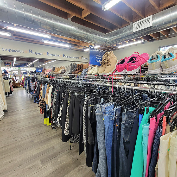 Shoes and clothing arranged with surprising precision—the kind of organization that makes you wonder if Marie Kondo moonlights here.
