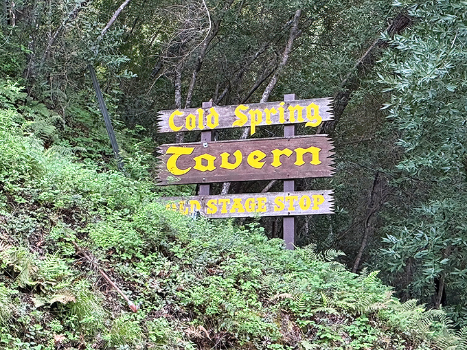 This sign doesn't just mark a location; it's an invitation to step back in time where "Old Stage Stop" isn't a theme—it's the truth.