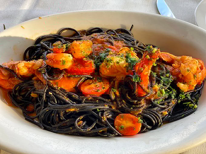 Squid ink pasta that looks like midnight on a plate. Dramatic, bold, and worth every sideways glance from your dining companions.