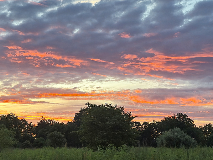 Sunset painters the sky in impossible colors, turning an ordinary evening into a masterpiece above the park's treeline.