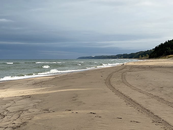 Evidence of early morning park rangers or late-night beach racers? Either way, these tracks tell stories of adventures when most visitors are absent.