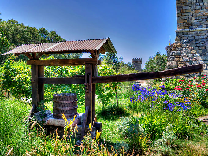 This rustic well and garden setup isn't for drawing water—it's for drawing visitors into the immersive world of medieval Italian winemaking traditions.