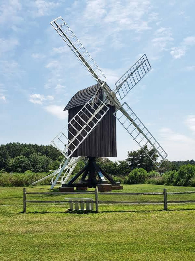 Under Maryland's summer skies, the windmill's white sails contrast beautifully with its dark wooden body – a photographer's dream in any season.