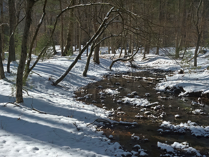 Winter transforms the creek into a monochrome masterpiece. Snow and water performing their annual duet for anyone willing to bundle up.