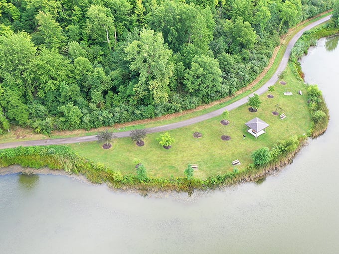 Nature's perfect curve—where forest meets water in a harmonious dance that's best appreciated from above.