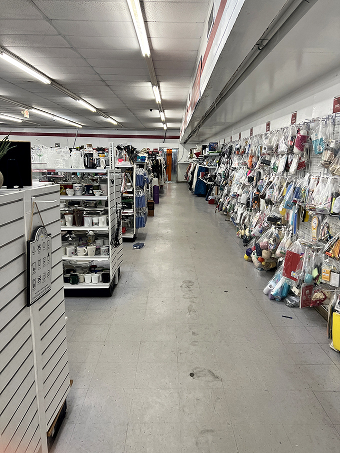 The packaged goods aisle – a mysterious frontier where kitchen gadgets, craft supplies, and unidentifiable widgets await brave explorers.