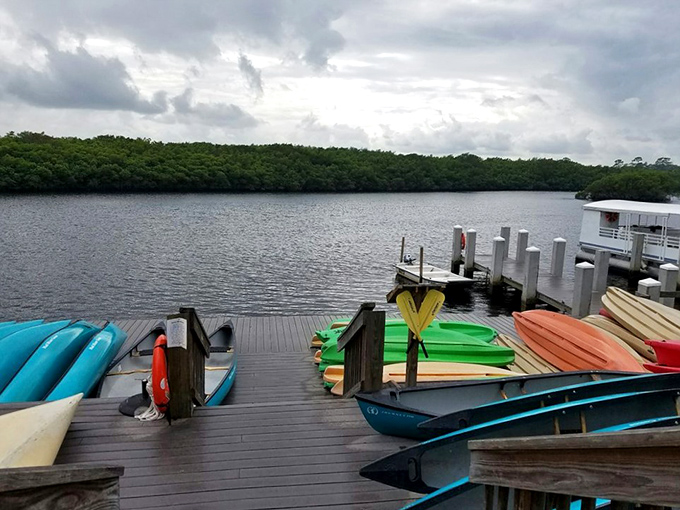 Watercraft rainbow! These colorful kayaks and canoes aren't just boats—they're your personal tickets to explore Florida's wild waterways. 