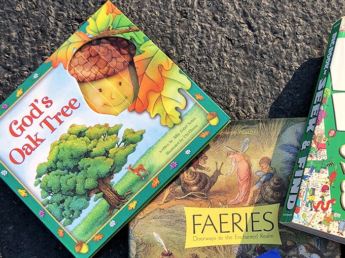 Children's books waiting for new little hands to turn their pages. From oak trees to fairies—imagination doesn't come with a luxury price tag.