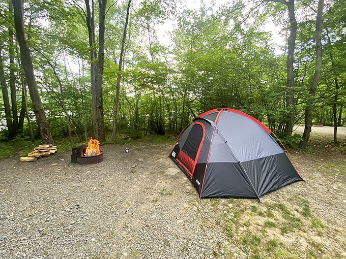 Home is where you pitch it. This campsite offers five-million-star accommodations with the best nightlight ever – a crackling campfire.
