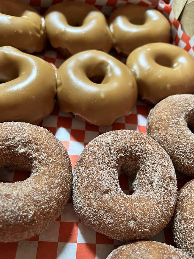 Apple cider donuts—Julian's other claim to fame—golden, cinnamon-sugar coated rings of joy that complement their pies perfectly.