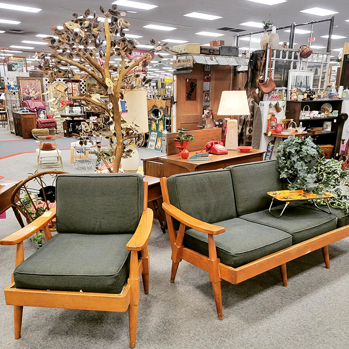 Chairs that have supported more stories than a library, waiting for new tales to unfold.