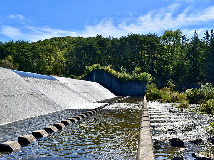 Engineering meets nature at the park's dam, where rushing water creates a soundtrack more soothing than any meditation app on your phone.
