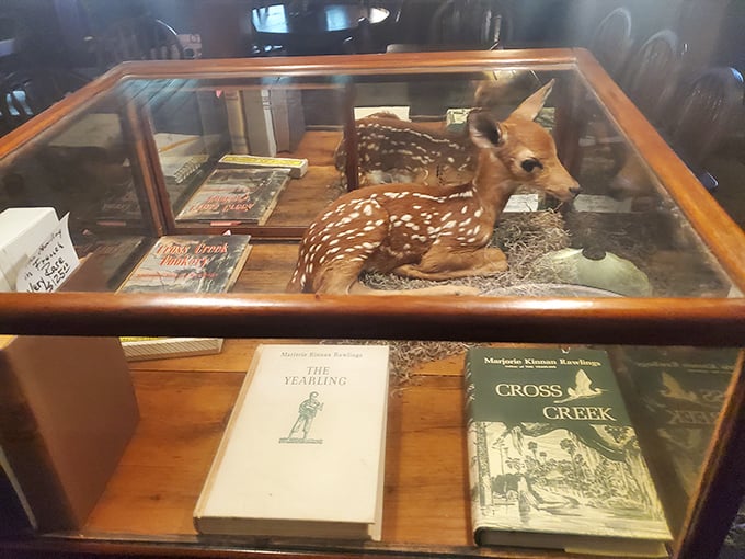 A preserved yearling deer in a display case with Rawlings' books below – the literary inspiration for the restaurant's name and spirit.