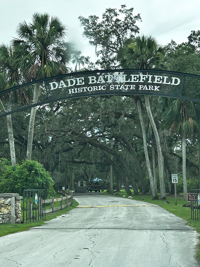 Gateway to yesterday: The park's entrance arch frames a corridor of Spanish moss and palm trees, nature's perfect time portal to Old Florida.
