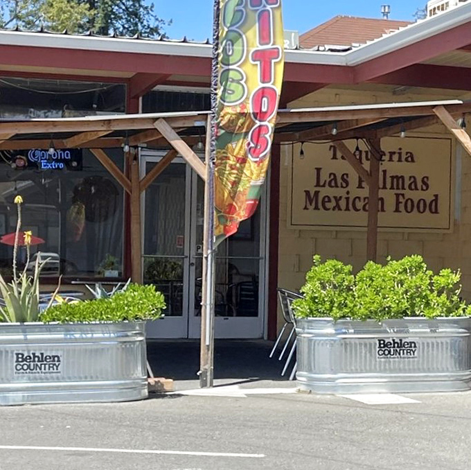 The entrance beckons with promises of "burritos" on colorful flags. Those galvanized planters aren't just decorative—they're the velvet rope to California's tastiest club.