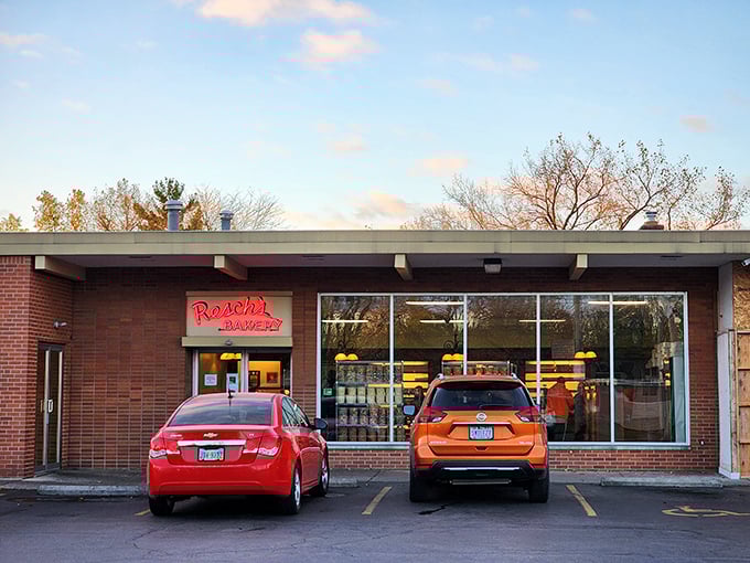 Morning light illuminates the bakery's storefront, a beacon of hope for those who believe breakfast pastries are a human right.