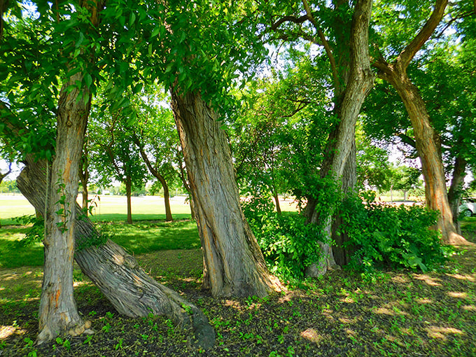 The Osage orange trees mentioned in the installation's full name provide natural framing and historical context to this uniquely Midwestern art experience.