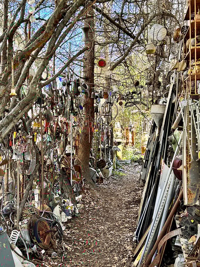 Nature and metal coexist in this narrow passage. The trees reach skyward while discarded treasures line the path like industrial sentinels.
