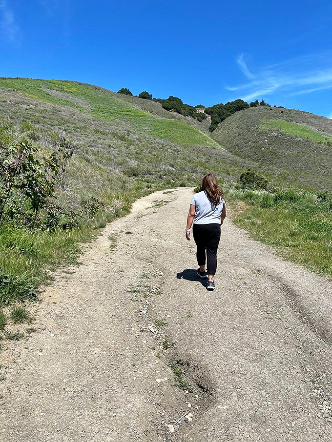 The path less traveled leads to views more treasured – this trail promises leg day with benefits beyond any gym.