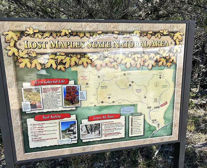 The information board—where expectations meet reality and hikers suddenly realize they've packed entirely the wrong shoes.