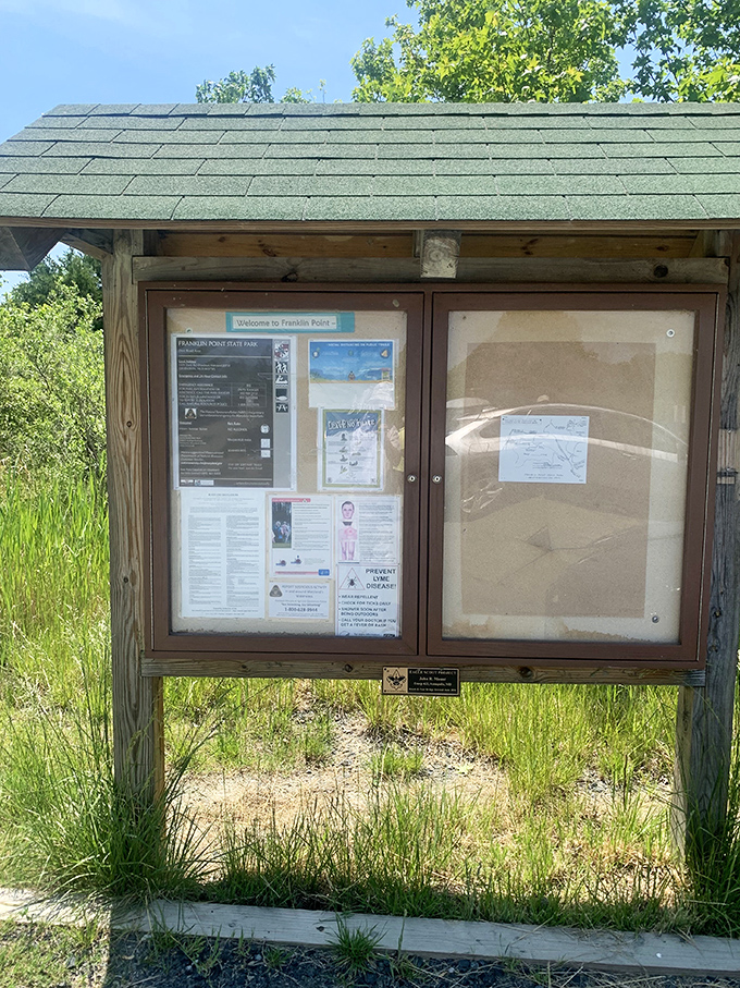 The information board – where expectations meet reality, and you realize you've stumbled upon something truly special.