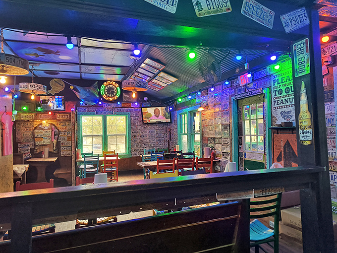 More license plates, more color, more personality – this place doesn't believe in boring walls or boring food.