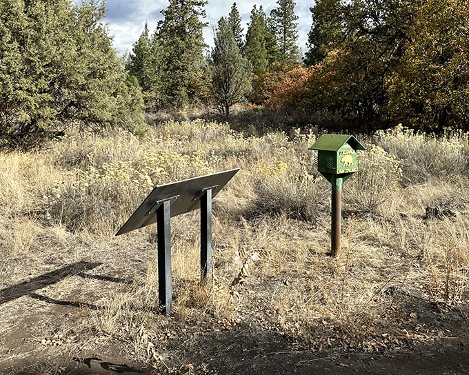 Nature's bulletin board stands ready to educate curious explorers. Knowledge: the one souvenir that doesn't require extra luggage space.