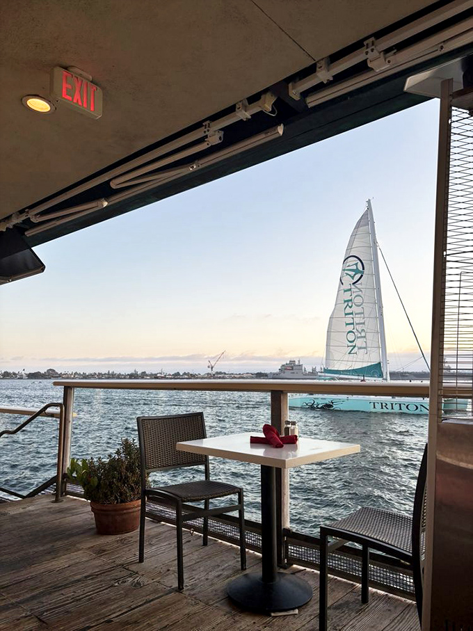 Dining with a view that makes you wonder why you'd ever eat indoors again. That passing sailboat isn't just scenery—it's nature's perfect dining companion.