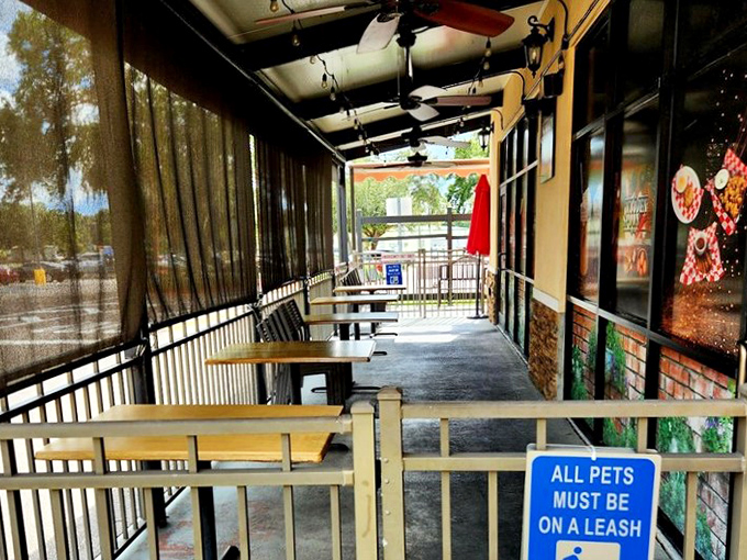 The pet-friendly patio offers al fresco dining with a side of people-watching—Florida's version of European café culture.