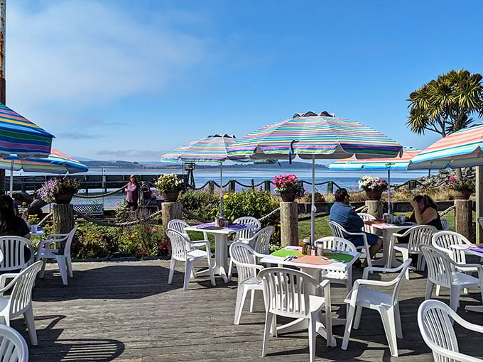 The patio offers colorful umbrellas, white chairs, and bay views—essentially the California coastal trifecta of outdoor dining perfection.