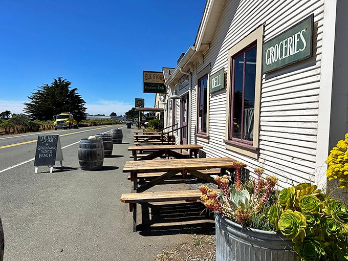 Highway 1 dining at its finest: picnic tables with ocean breezes, succulent gardens, and the promise of sandwich bliss just steps away.