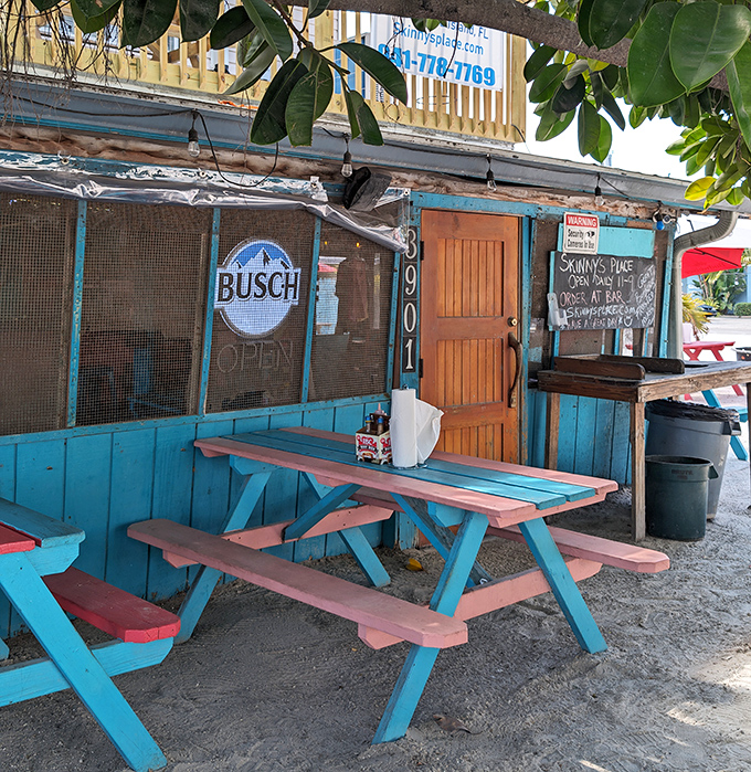Colorful picnic tables under tropical shade—nature's dining room where salt air seasons every bite for free.