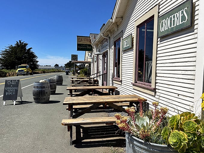 Ocean views and picnic tables—nature's dining room where sandwiches taste better and conversations flow as easily as the coastal breeze.